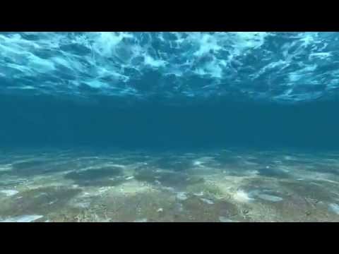 Wave of underwater for website background video - crackcodex