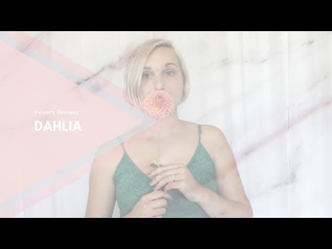 Dahlia Flower Meaning - Meaningful Mondays