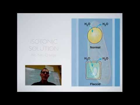 Osmosis and Diffusion