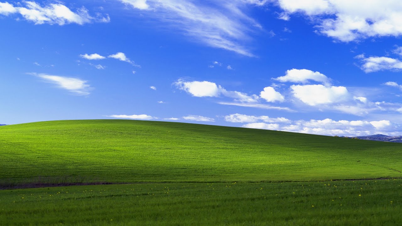 How This Wallpaper Conquered The World