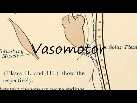 How to Pronounce Vasomotor?
