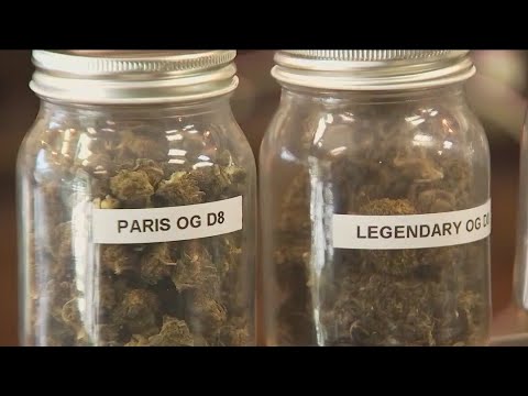 Recreational drugs make ASPCA's 'Top Toxins for Pets' list