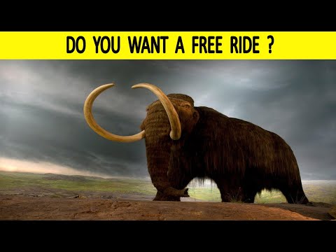 7 Endangered Animals Found Only In Amazon Rain Forest.|| AMAZON RAIN FOREST || ENDANGERED ANIMALS ||