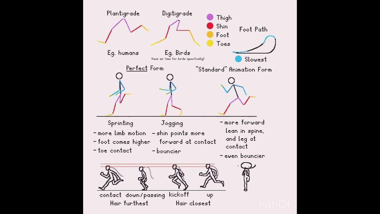 Run Cycles Animation Tutorial - Please work Youtube #animation #tutorial #animationmeme
