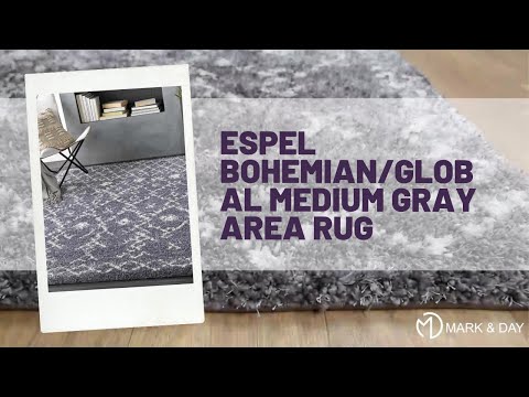 Espel Bohemian/Global Medium Gray Area Rug