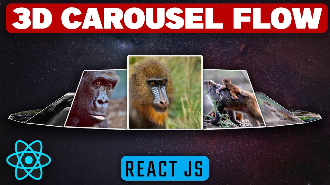 React JS - Create a Stylish 3D Carousel in ReactJS
