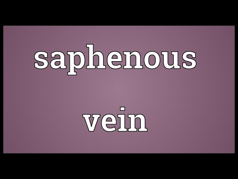 Saphenous vein Meaning