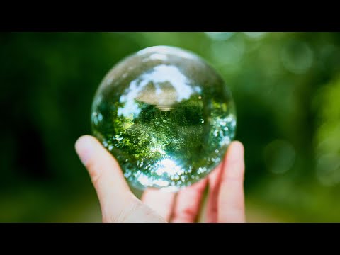 Climate change and the fate of forests