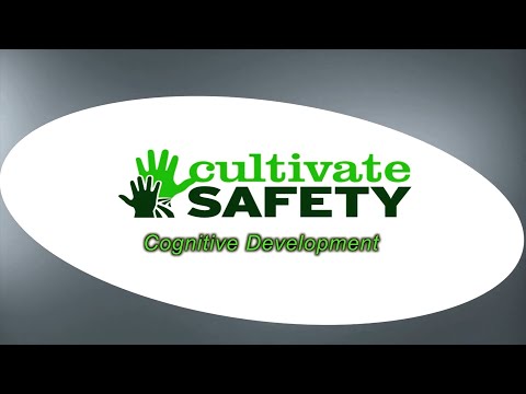 Children's Cognitive Development