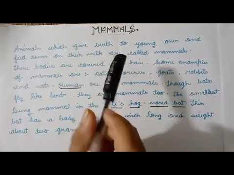 What are mammals #kids #kidsvideo #education #learning #trending #trendingvideo #video