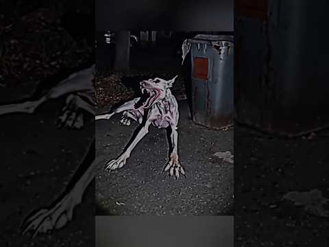 Skinwalker Disguised As Animals ☢️ PRT-99 #viral #ytshorts