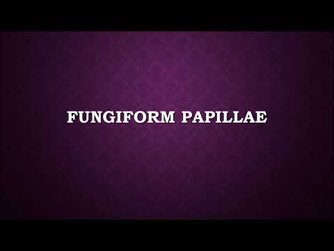 How to Pronounce Fungiform Papillae