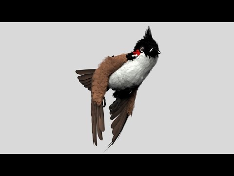 Red Whisker Maya Rig – Truong CG Artist