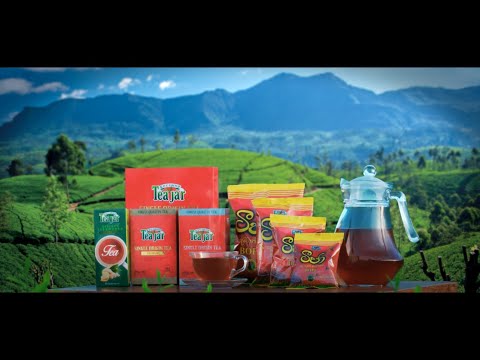 Tea Jar at Best Price in India