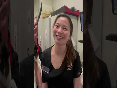 Vet Nurse & Vet Tech Appreciation Day 2025 at Animal Emergency Australia.