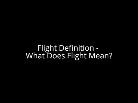 Flight Definition - What Does Flight Mean?