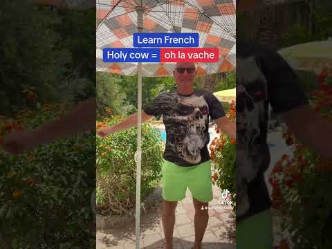 Learn French | #shorts | HOLY COW in French | #Youtubeshorts | French Lessons