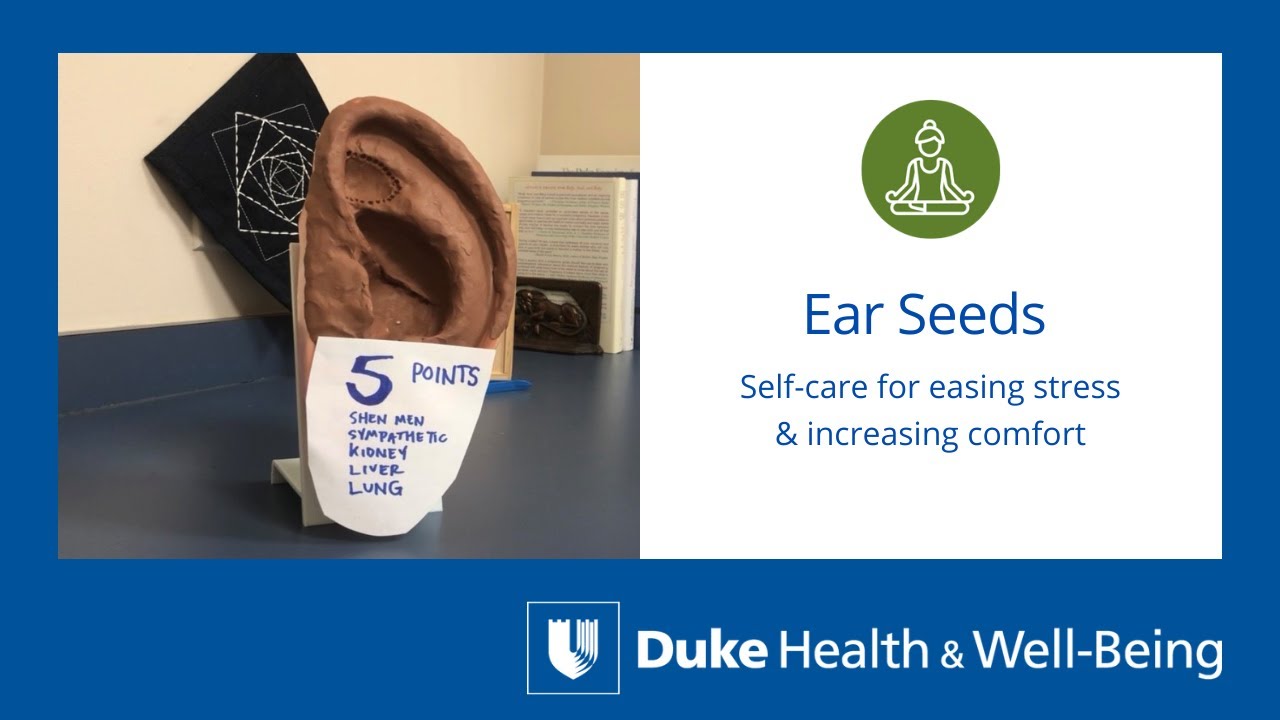 Ear Seeds Overview by Janet Shaffer, LAc Acupuncturist - Duke Integrative Medicine