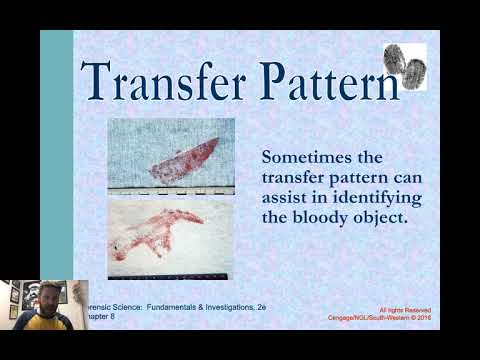 Blood Spatter & Blood Stain Patterns