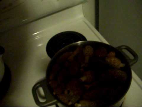 morel mushroom in oklahoma