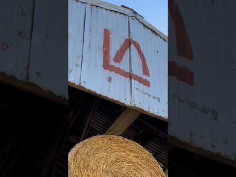 What Does My Brand Stand For?