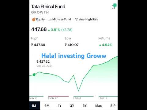 Best 3 halal mutual fund 💯 Halal mutual fund