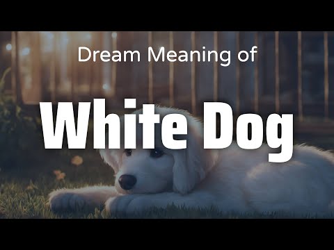 White Dog Dream Meaning & Symbolism | Interpretation Psychology