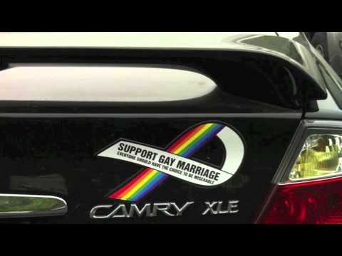 Political Bumper Stickers