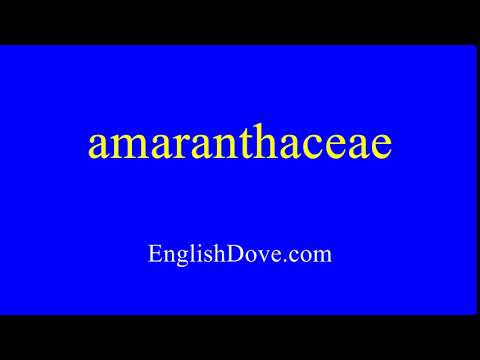 How to pronounce amaranthaceae in American English.