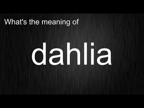 What's the meaning of "dahlia", How to pronounce dahlia?