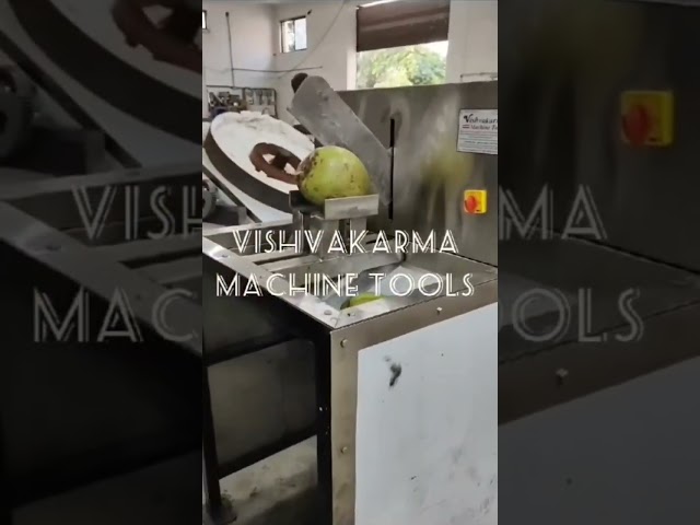 Coconut Cutting Machine - Green Coconut Cutting Machine Manufacturer ...