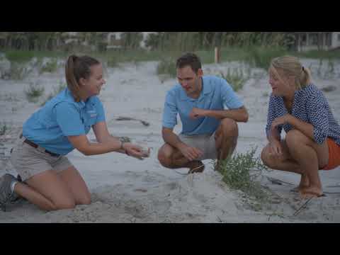 Fly Direct to the Golden Isles of Georgia