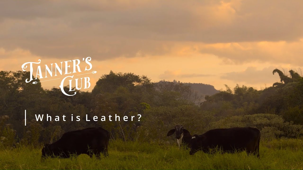 What is Leather? | Leather Tips & Hints | Leather 101