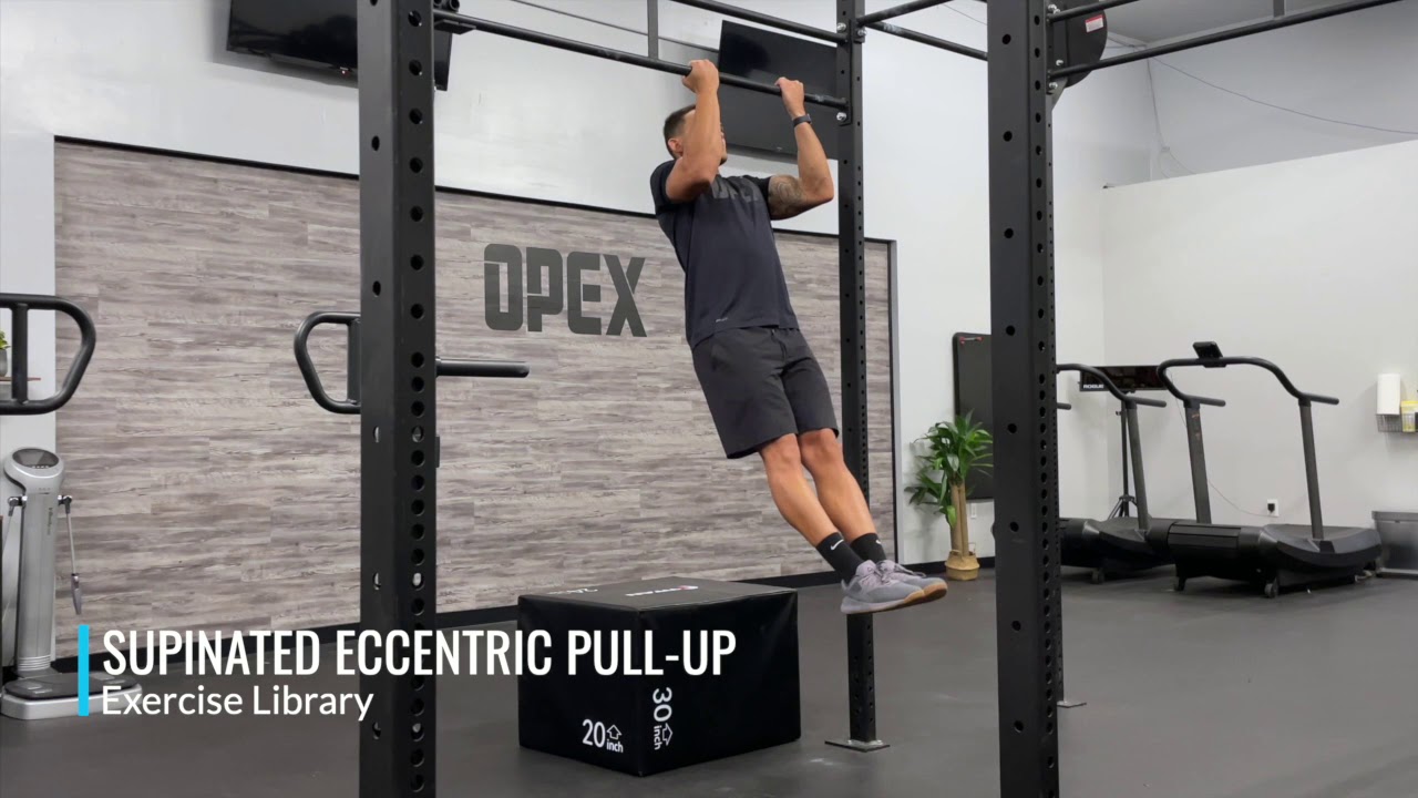 Supinated Eccentric Pull-Up