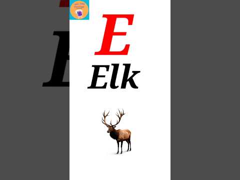 E Alphabet words with pictures | alphabet words | Words start with E #alphabet #shorts #english