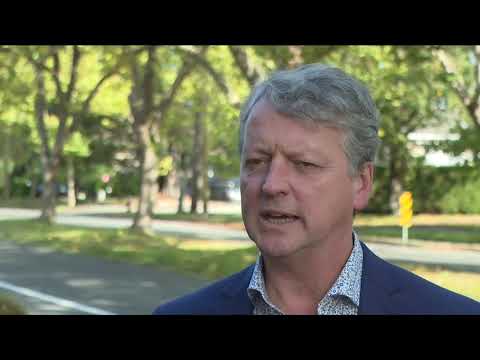 Island professor produces film on 100-year-old Shelbourne tree memorial