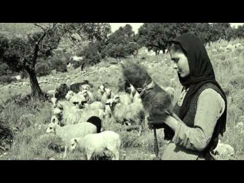 Οι γυναίκες της Ηπείρου στον πόλεμο του 1940 | ARTI NEWS
