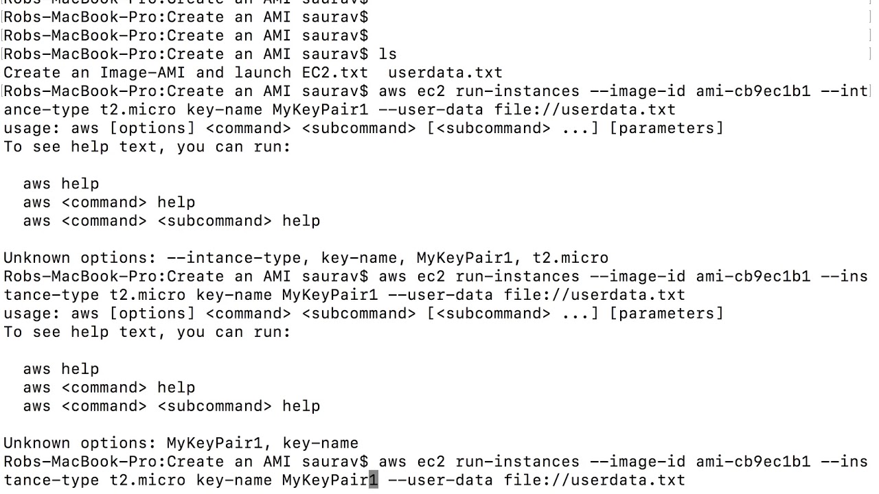 Create an Amazon Machine Image (AMI ) with the AWS CLI