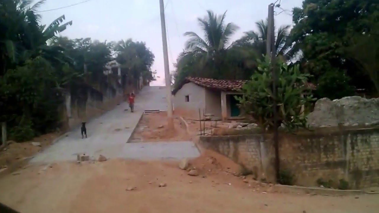 Zocoteaca de León 2016