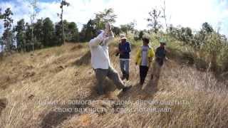 American Friends of Chabad of Thailand Inc - GuideStar Profile