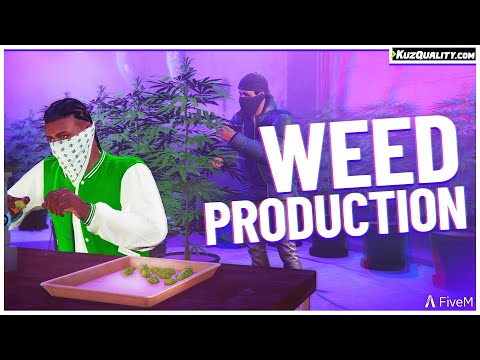 Weed Production Script for FiveM | KuzQuality