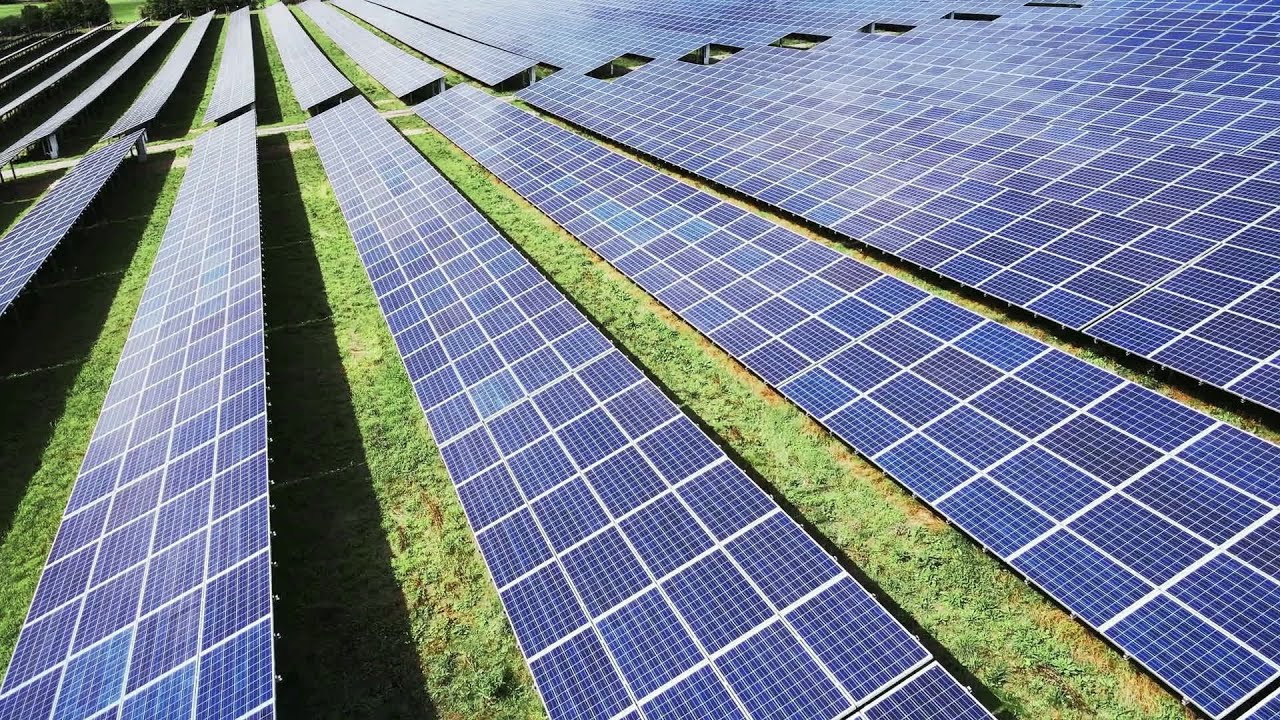SGTech Global Future Series - Episode Four on Sustainability