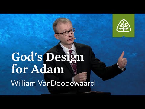 Genesis – Human Genesis