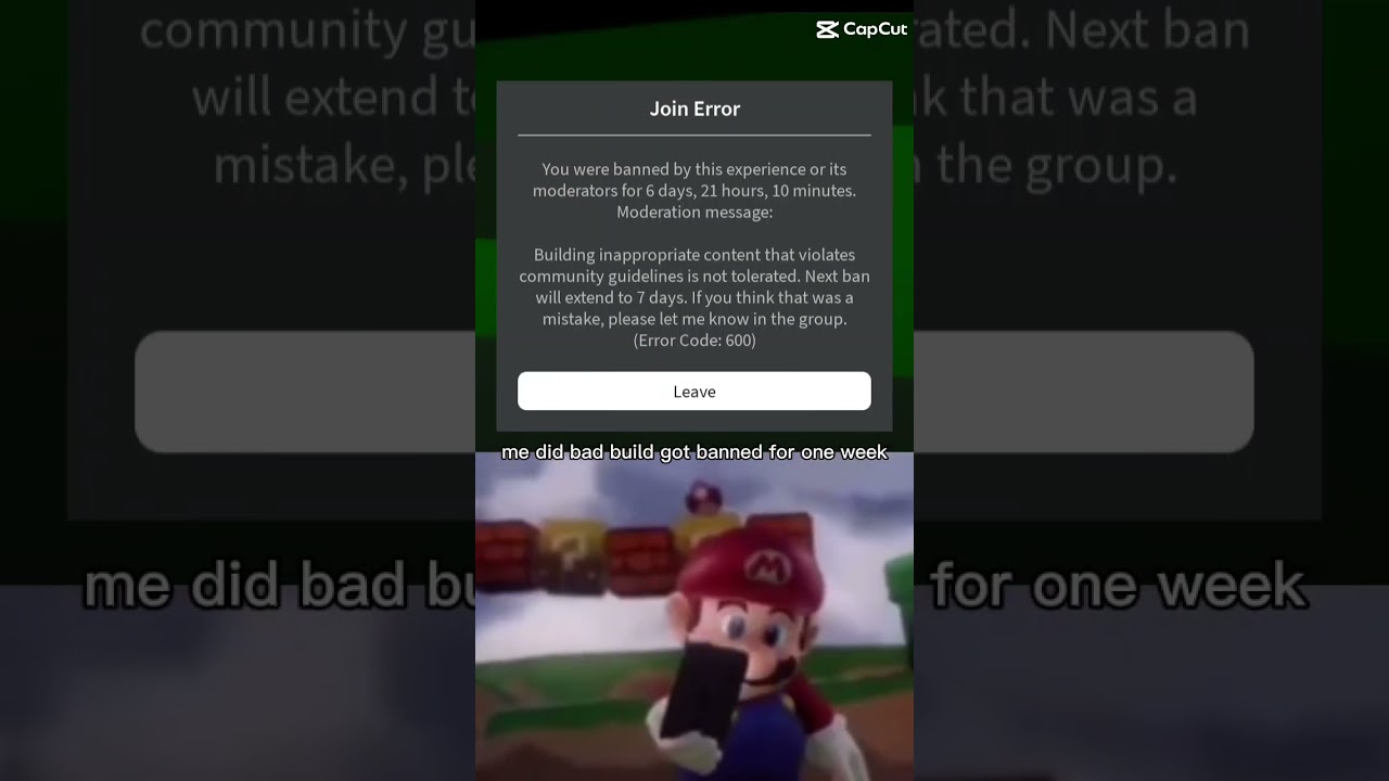 Got Banned on Build Logic #build #logic #roblox #mario #sad