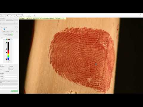 Visualising Fingermarks Using the DCS System