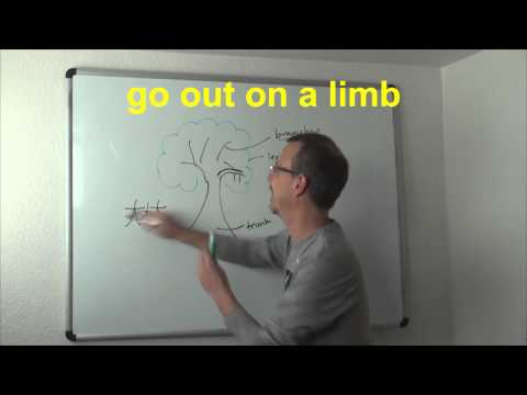 Learn English: Daily Easy English Expression 0446: go out on a limb