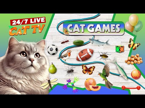 π΄ CAT GAMES π± ULTIMATE VIDEO FOR CATS TO WATCH & CHASE | VOL 98 ππ¦π