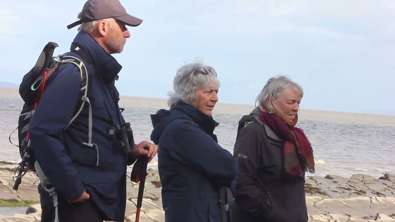 Wells u3a Geology group