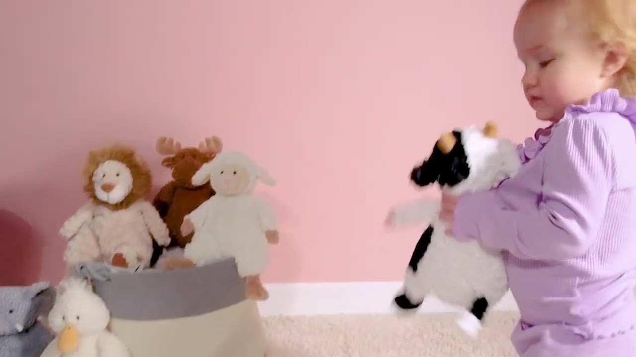 Snuggables | Mary Meyer Stuffed Toys