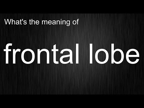 What's the meaning of "frontal lobe", How to pronounce frontal lobe?